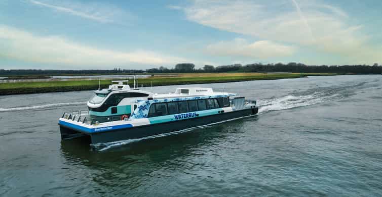 Rotterdam: Bilet na autobus wodny do Dordrecht i/lub Kinderdijk ...