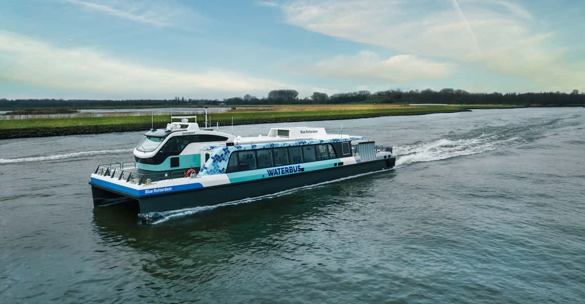 Rotterdam: Waterbus Ticket to Kinderdijk and Dordrecht | GetYourGuide
