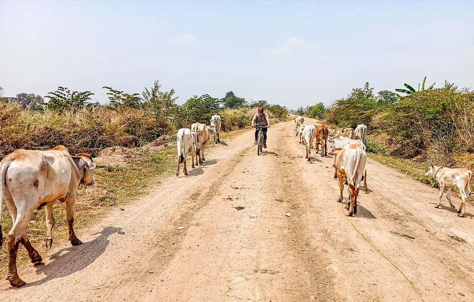 Battambang: Full-Day Countryside Cycling Tour with Lunch | GetYourGuide Battambang: Full-Day Countryside Cycling Tour with Lunch | GetYourGuide