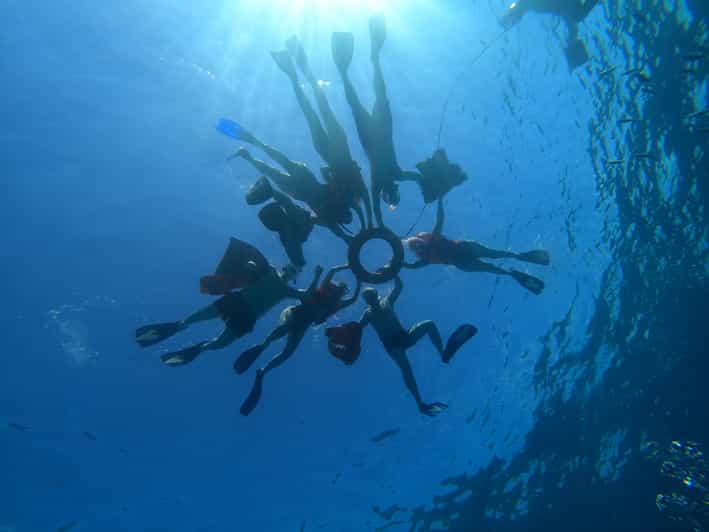 Cancún: Snorkel en MUSA y arrecife Manchones | GetYourGuide