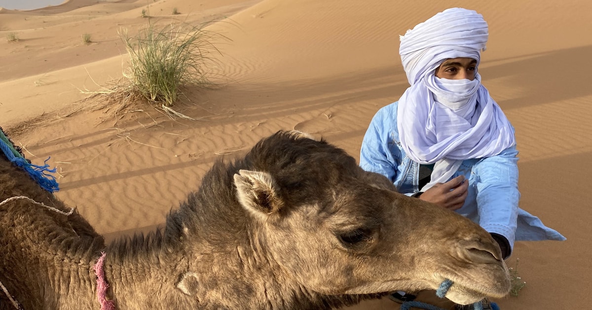 3 days Camel Trekking in Morocco Desert tour | GetYourGuide
