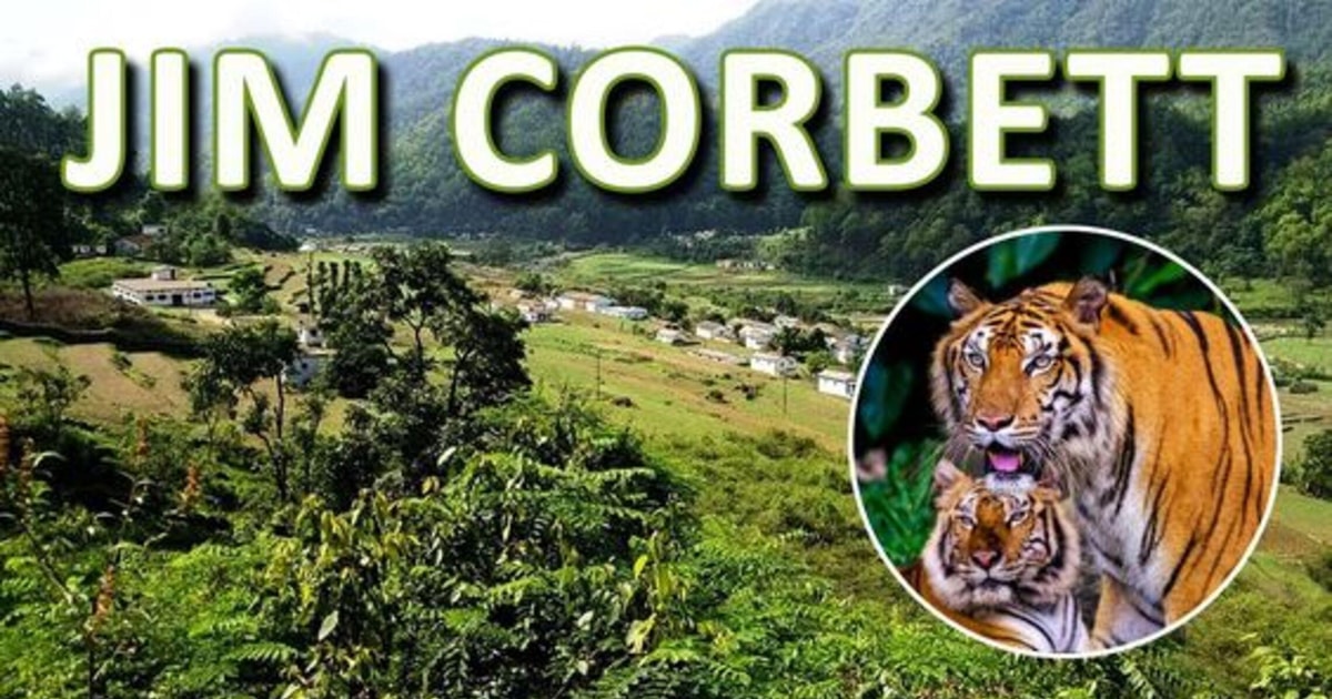 Z Delhi: 3-dniowa wycieczka do Parku Narodowego Jima Corbetta ...