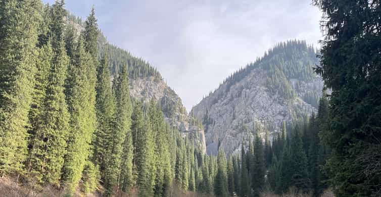 Charyn Canyon National Park, Almaty - Book Tickets & Tours | GetYourGuide