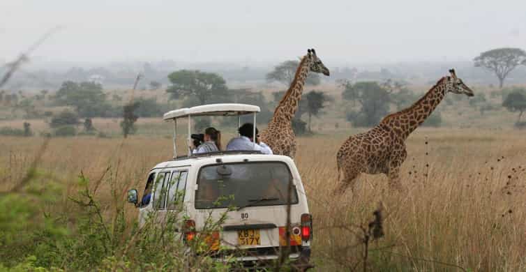 The BEST Kilimani, Nairobi Tours and Things to Do in 2024 - FREE ...