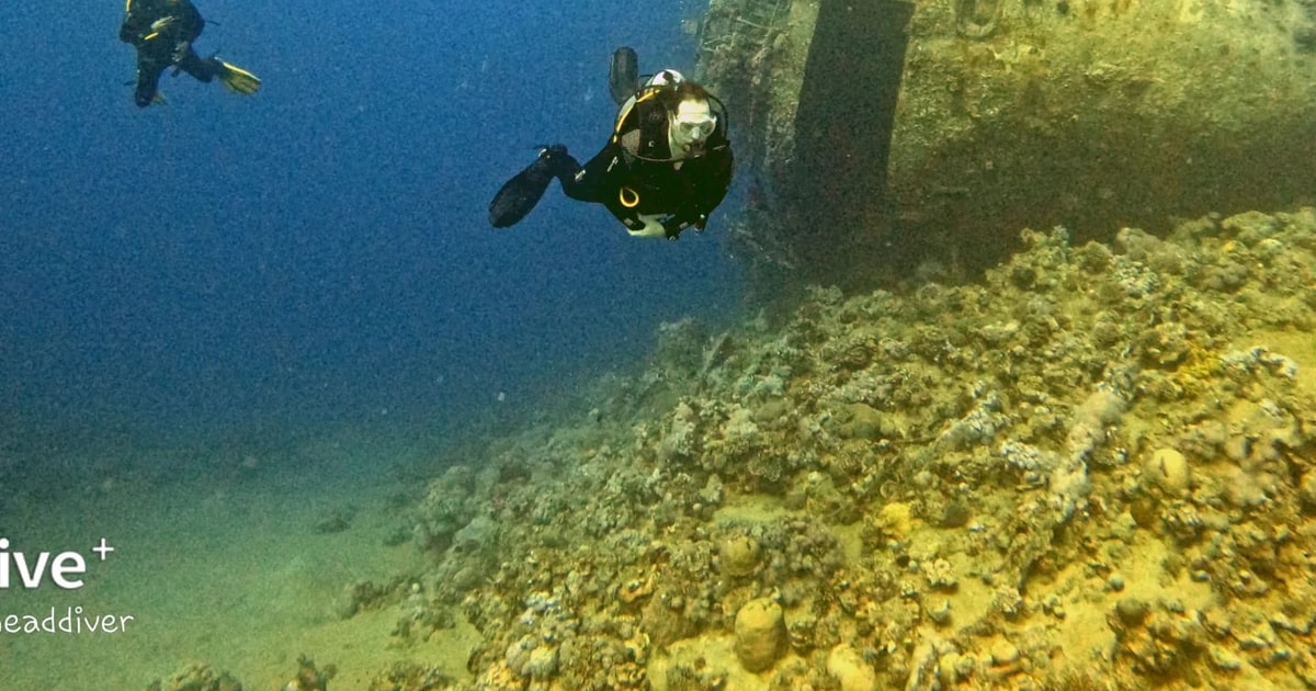 Aqaba Shore Diving | GetYourGuide