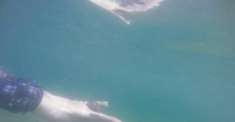 Ilha Grande: 6-Hour Speedboat Tour to Blue and Green Lagoons | GetYourGuide