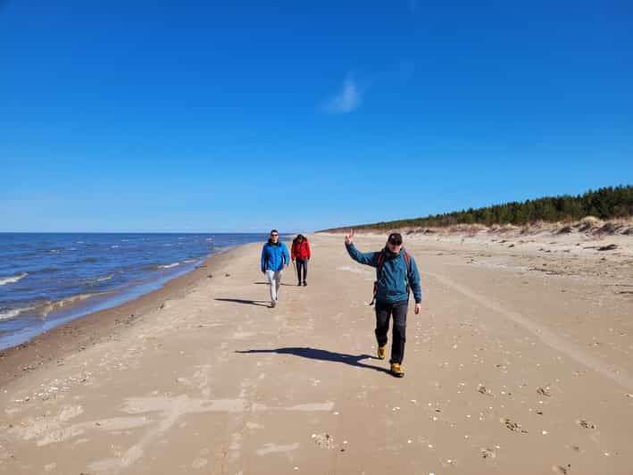 From Riga: Slītere National Park Latvian Nature Hiking Tour | GetYourGuide