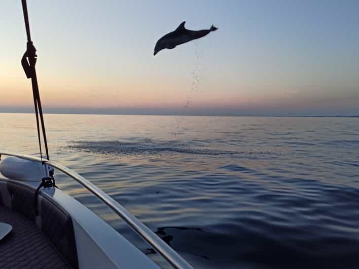 Rovinj: Excursión en lancha rápida al atardecer para avistar delfines ...