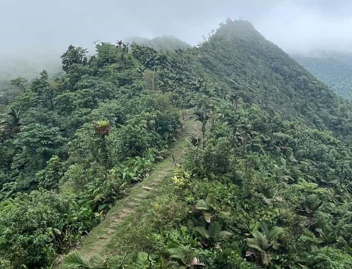 Roseau: Morne Diablotin Hike | GetYourGuide