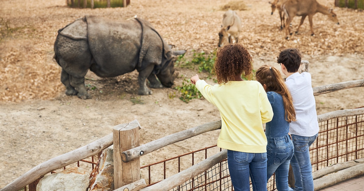 Eindhoven Zoo Entry Ticket | GetYourGuide