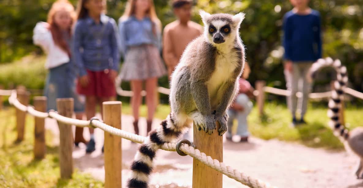 Leewarden: AquaZoo Entry Ticket | GetYourGuide