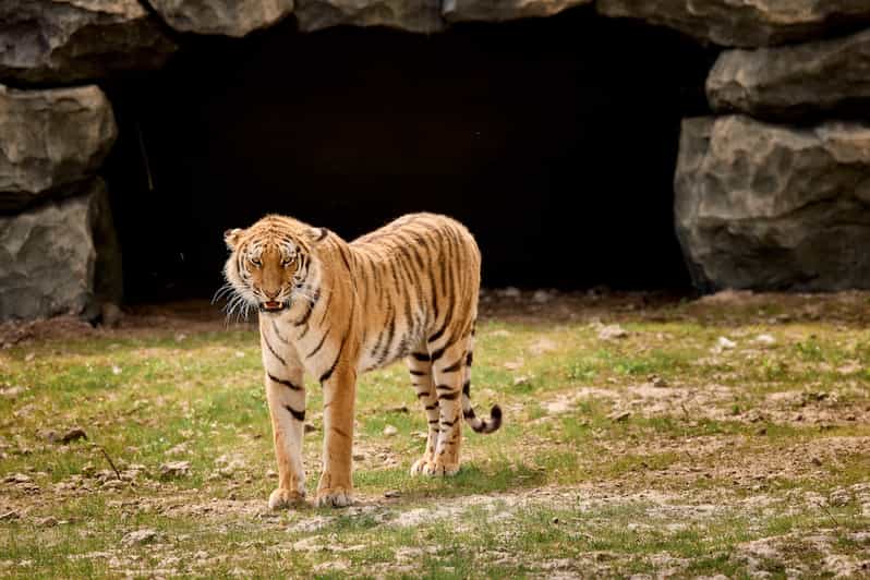 Leewarden: AquaZoo Entry Ticket | GetYourGuide