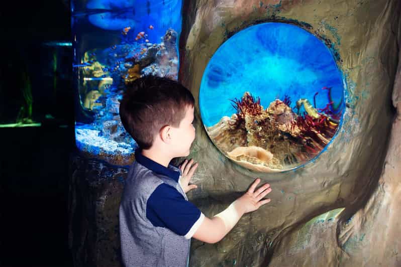 Bray: SEA LIFE Aquarium Entry Ticket | GetYourGuide