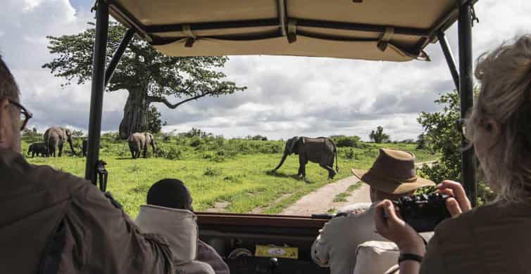 Nairobi : Amboseli, lac Naivasha et Masai Mara - Circuit de 6 jours ...