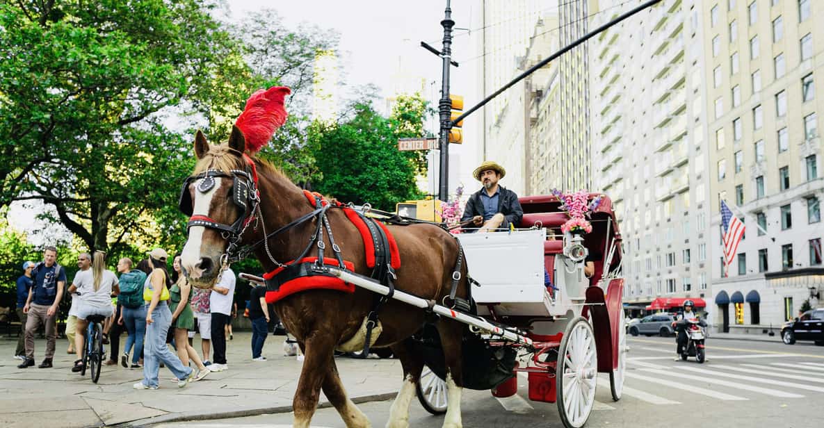 New York City: Central Park Private Horse and Carriage Tour | GetYourGuide