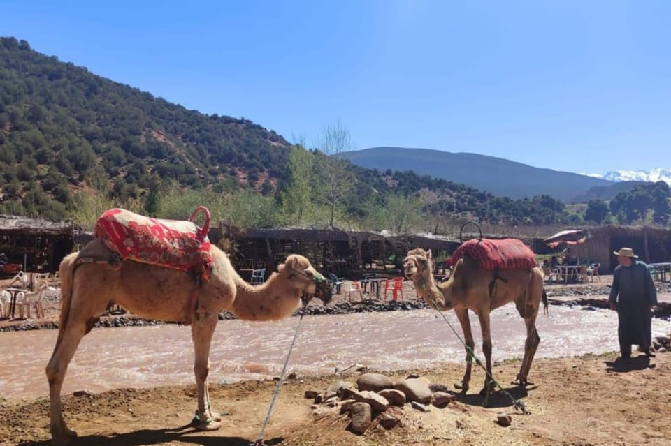 Marrakech: 5 Valleys and the High Atlas Mountains Day Tour | GetYourGuide