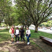 City tour,comuna 13,metro cable,parque botero,pueblito paisa | GetYourGuide