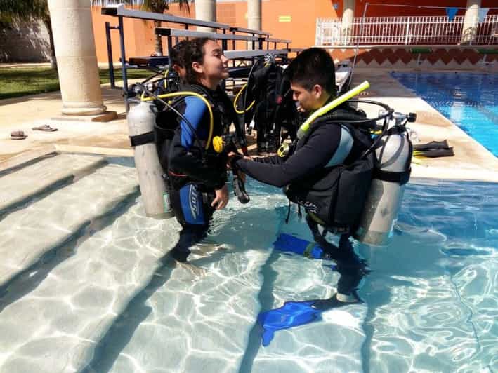 Descubre el Buceo | GetYourGuide