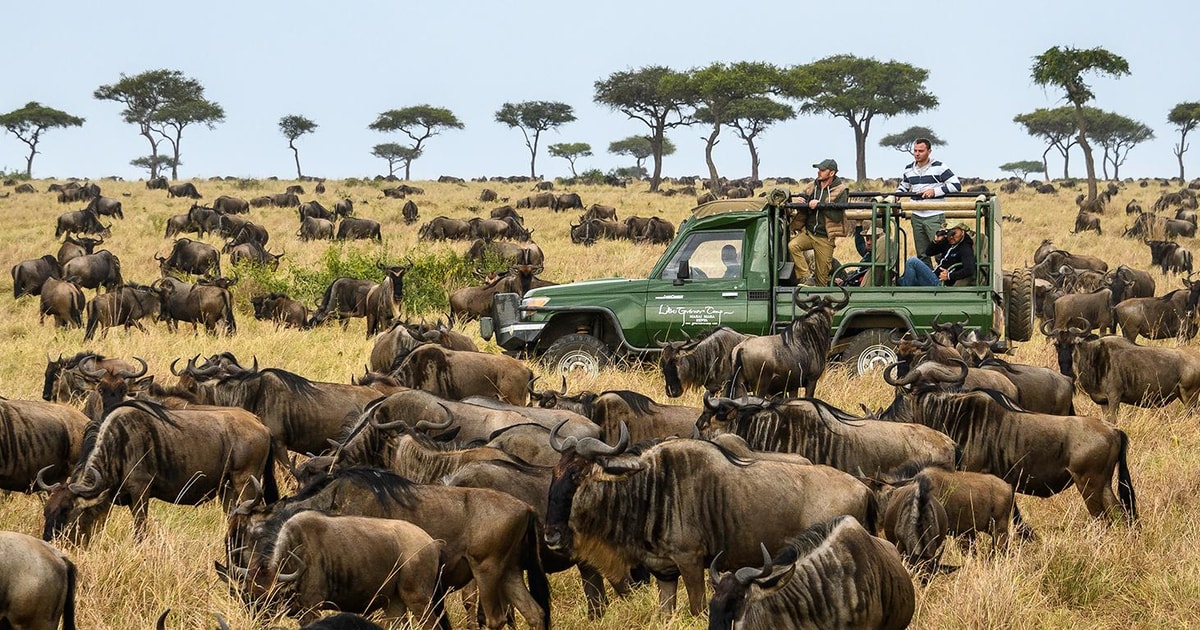 Nairobi: 4-Day Masai Mara & Lake Nakuru Safari - Mid-range | GetYourGuide