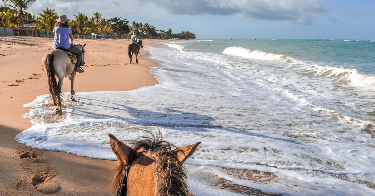 Palomino, Colombia: Horseback Riding Tour on the Beach | GetYourGuide