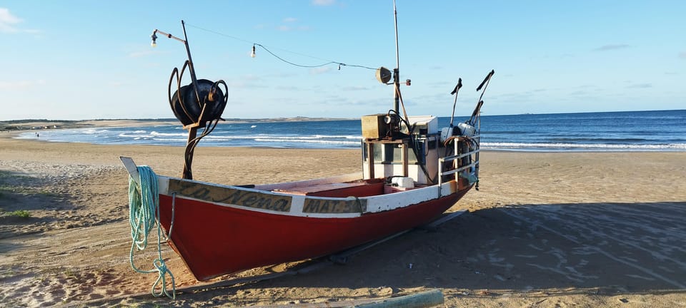 From Montevideo: Cabo Polonio - Full Day Private Tour | GetYourGuide