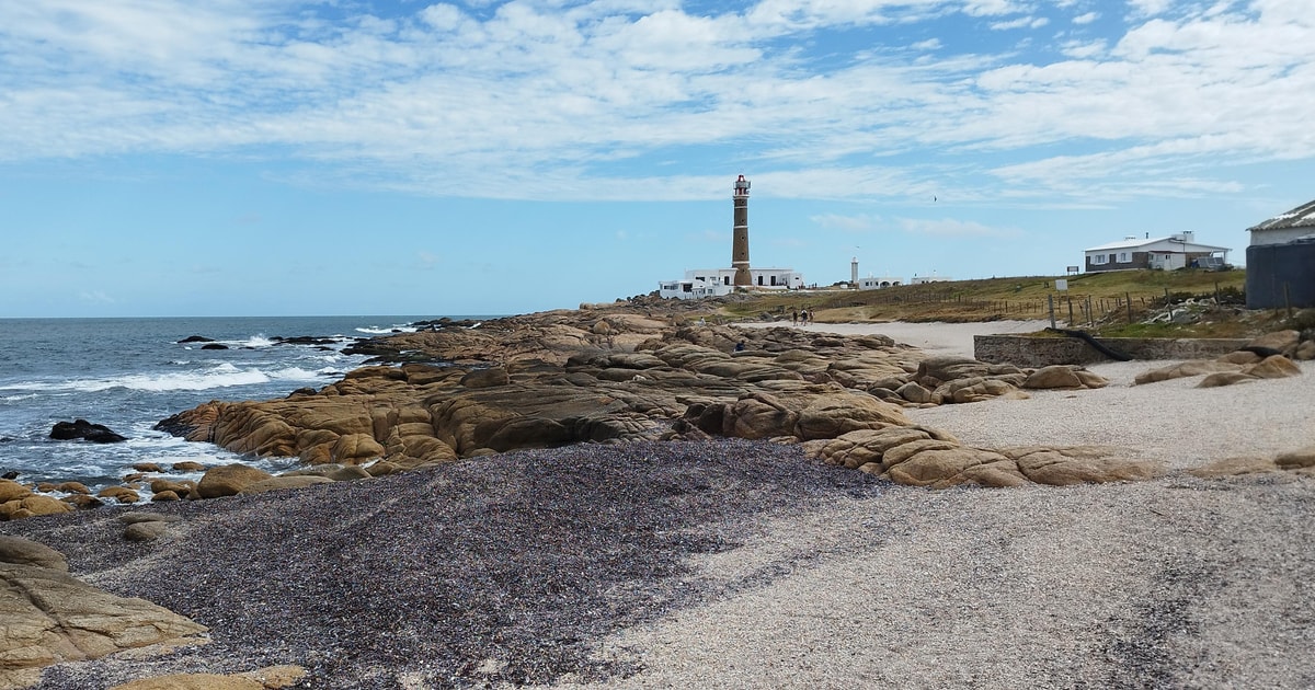 From Montevideo: Cabo Polonio - Full Day Private Tour | GetYourGuide