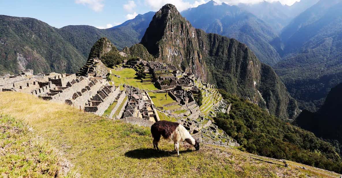 Vanuit Cusco: Machu Picchu + Regenboogberg 2D - 1N | GetYourGuide