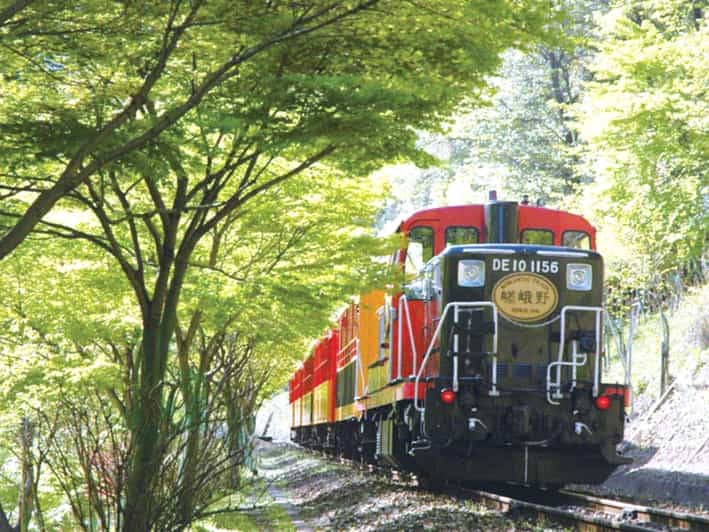 From Kyoto: Sagano Train Ride and Guided Kyoto Day Tour | GetYourGuide