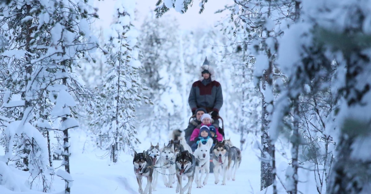 From Rovaniemi: Self-Driven 10km Husky Sled Ride | GetYourGuide