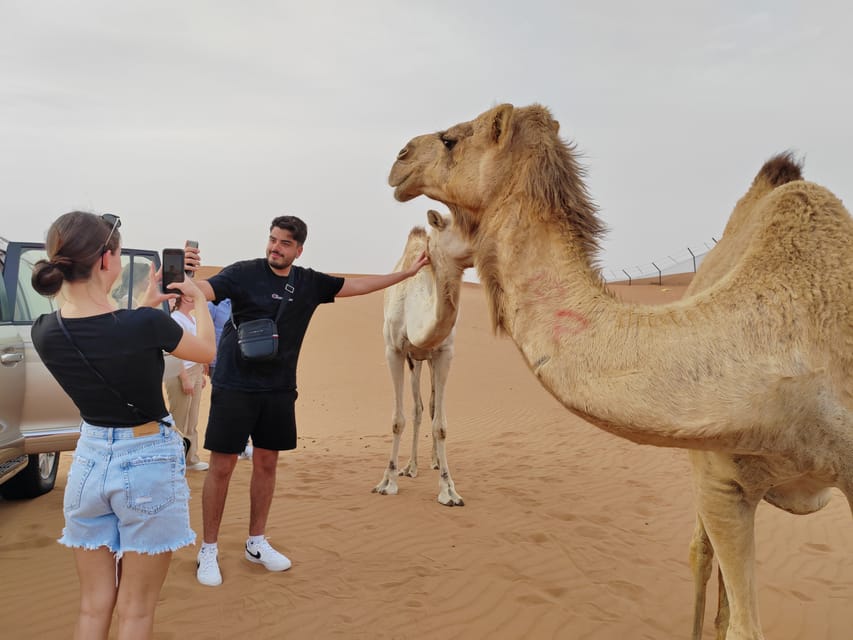 Dubai: Lahbab Red Dunes Safari Dune Bashing Camel Ride | GetYourGuide