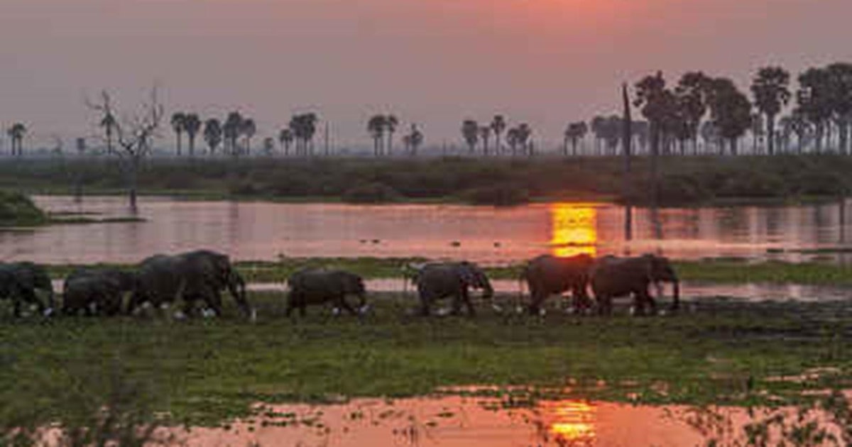 5 DAGEN COMPLETE ZUIDELIJKE SAFARI | GetYourGuide