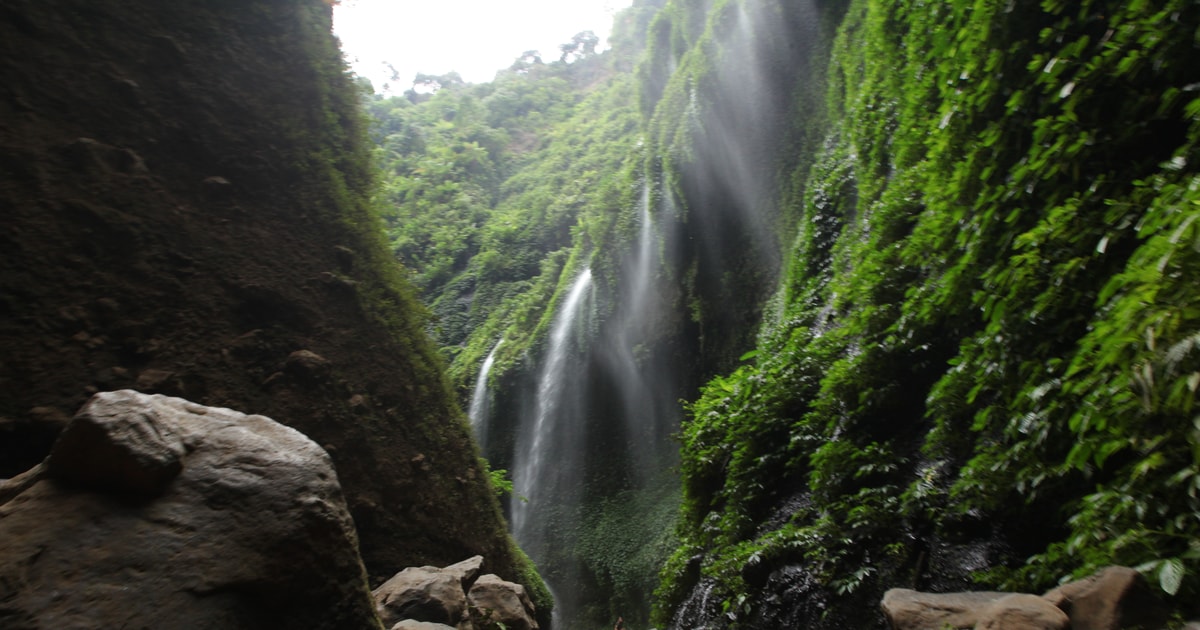 Mount Bromo Sunrise & Madakaripura Waterfall Tour | GetYourGuide