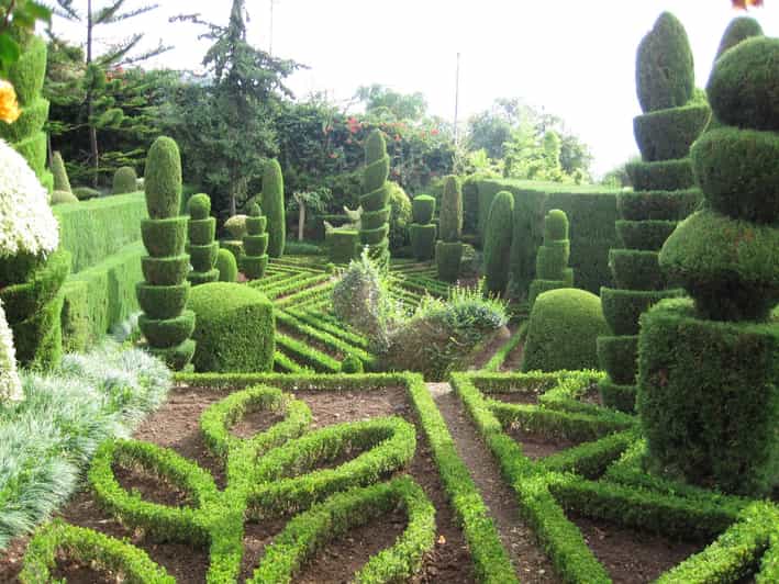 Funchal: Botanical Garden Tour and Guided Tuk-Tuk Ride | GetYourGuide