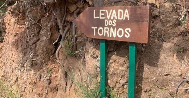 Santa Cruz: Paradise Valley Tour with Afternoon Tea | GetYourGuide