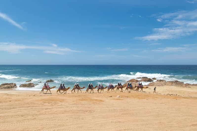 Cabo San Lucas: Guided Tour, Glass-Bottom Boat & Camel Ride | GetYourGuide