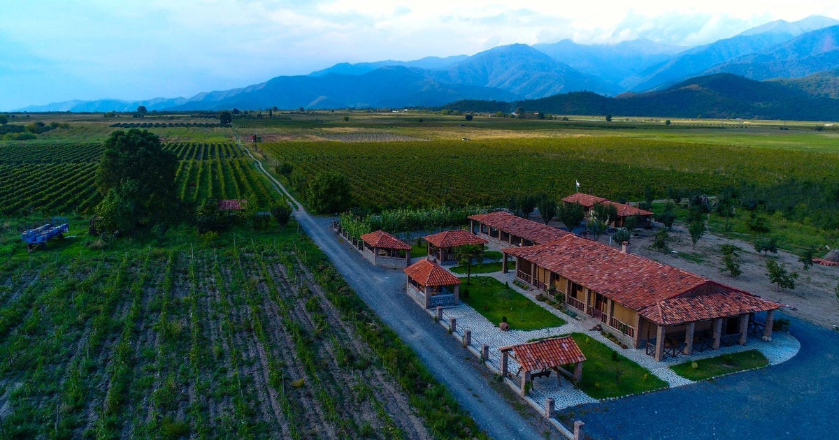 Cata de vino y cena tradicional en Kajetia | GetYourGuide