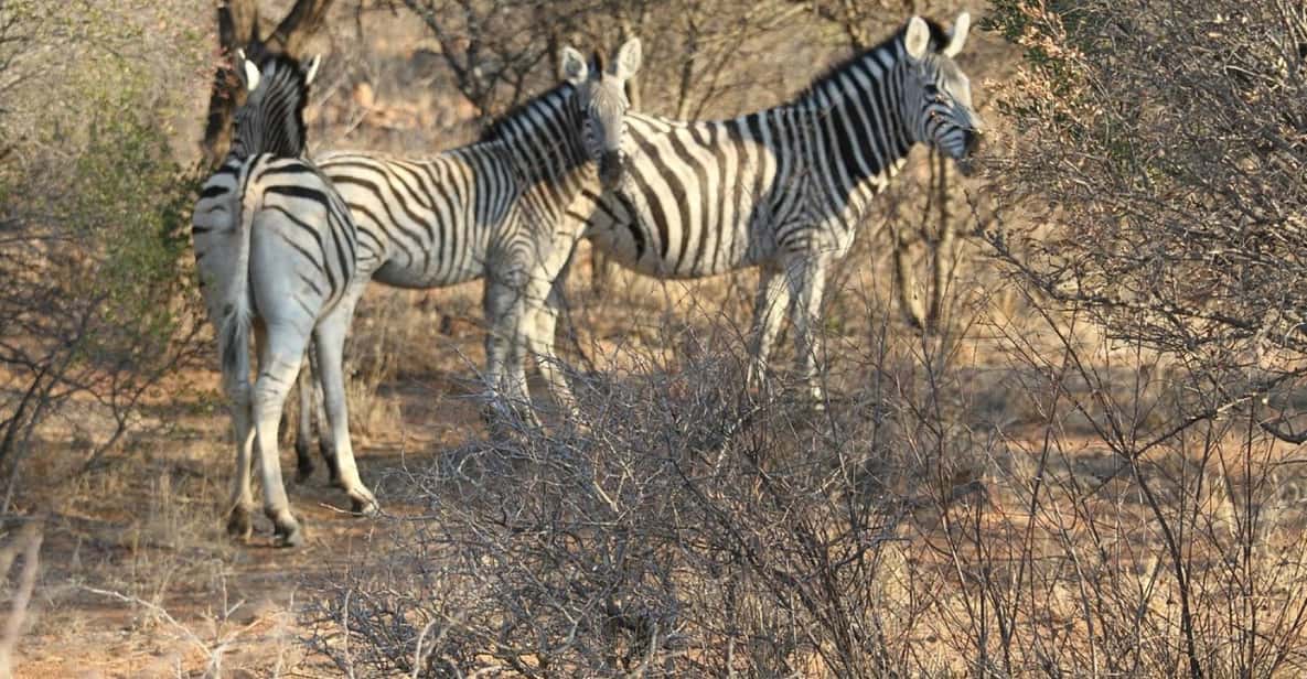 Intorno a Gaborone Adventure | GetYourGuide