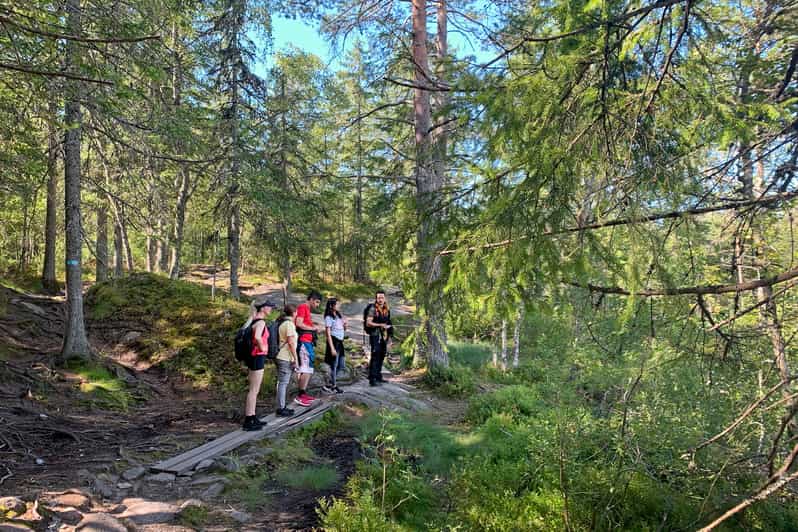 Oslo: View of the Oslofjord Hike | GetYourGuide