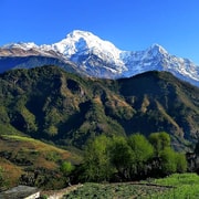 Pokhara: Australian Base Camp Day Hike | GetYourGuide
