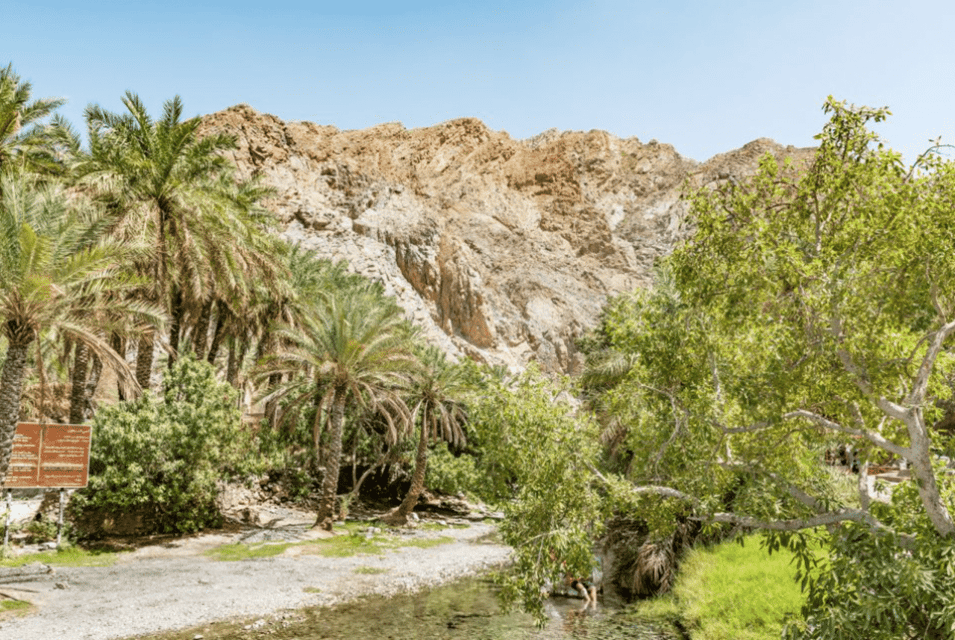 From Muscat: North Dunes and Wadi Hot Spring Tour with Lunch | GetYourGuide