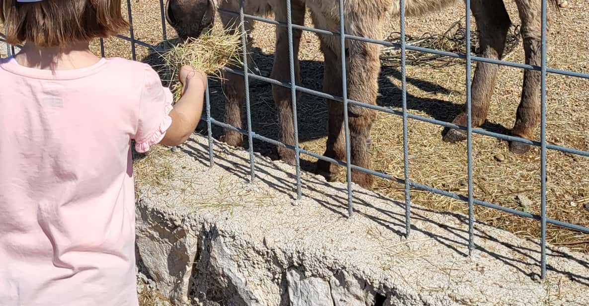Šmrika (près de Rijeka/Krk/Crikvenica) Ticket d'entrée pour la ferme ...