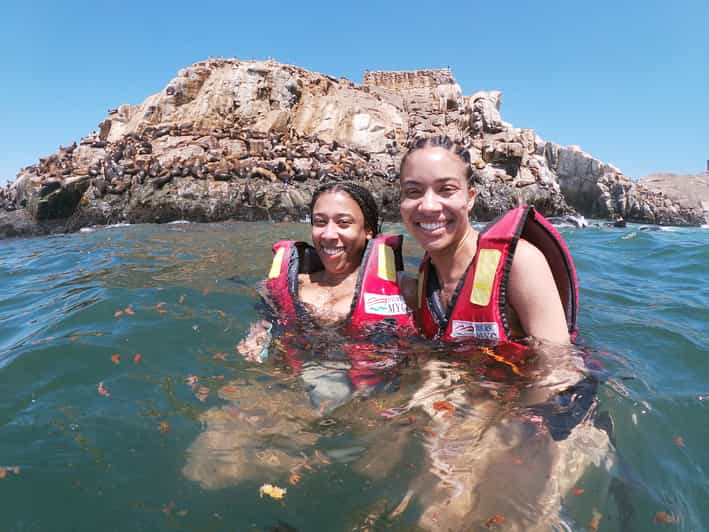 Lima: Ocean Swimming Adventure with Playful Sea lions | GetYourGuide