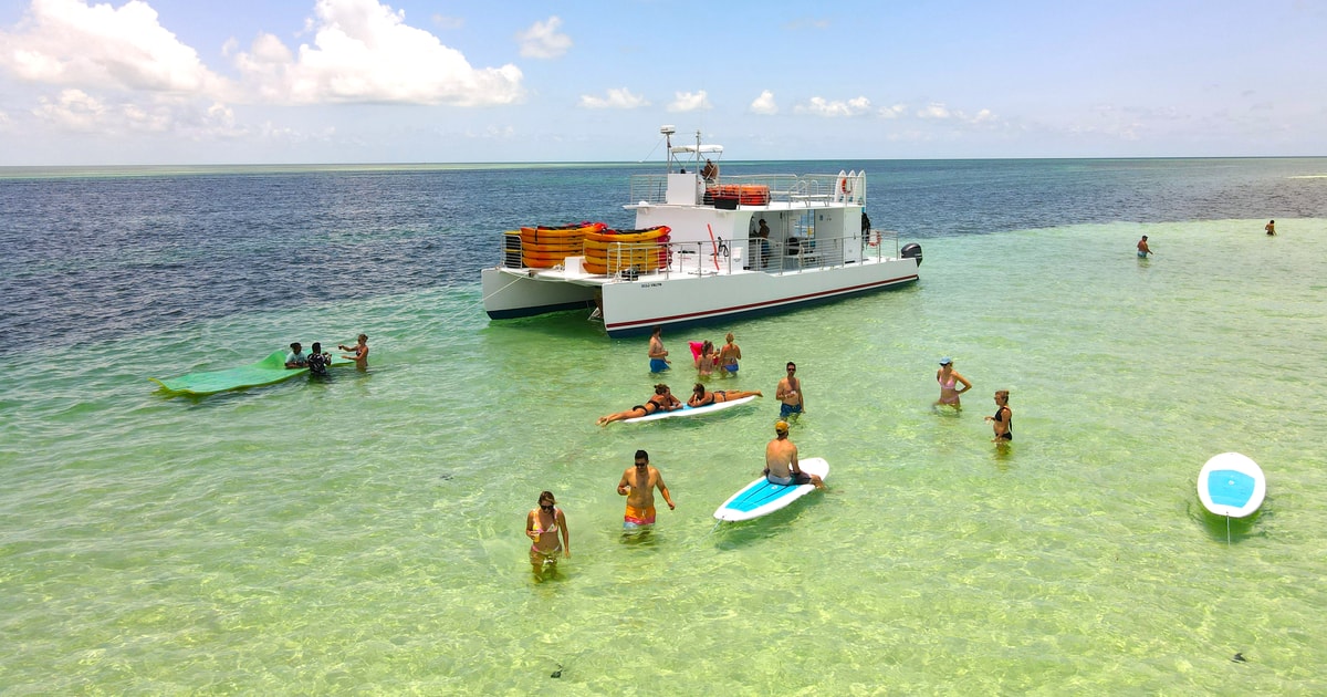 From Key West: Dolphin Watching Tour with Lunch & Drinks | GetYourGuide