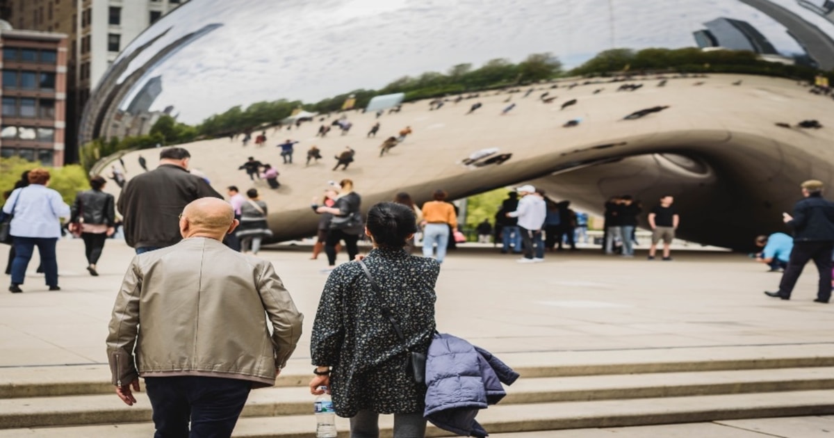 Chicago: Small Group Walking Tour with Skydeck and Boat | GetYourGuide