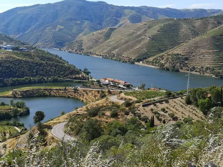 Da Porto: crociera nella valle del Douro con visita in cantina e pranzo ...