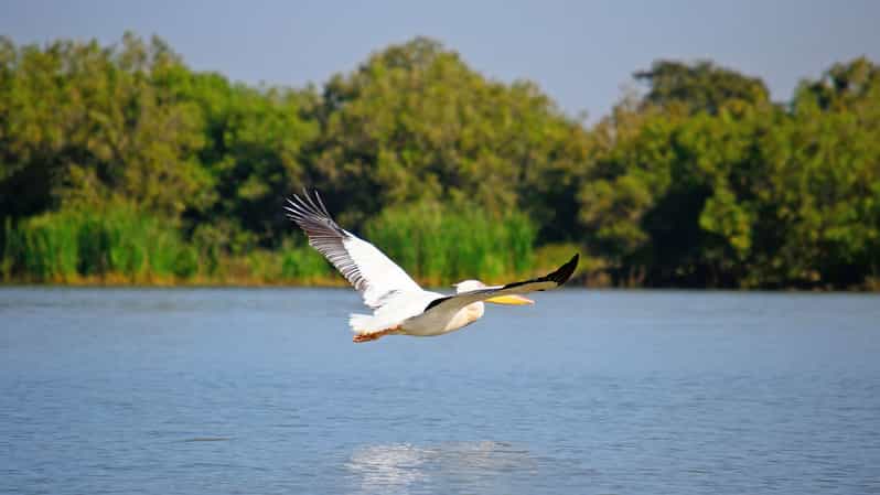 Bahir Dar: Full-Day Guided City Tour and Lake Tana Boat Trip | GetYourGuide