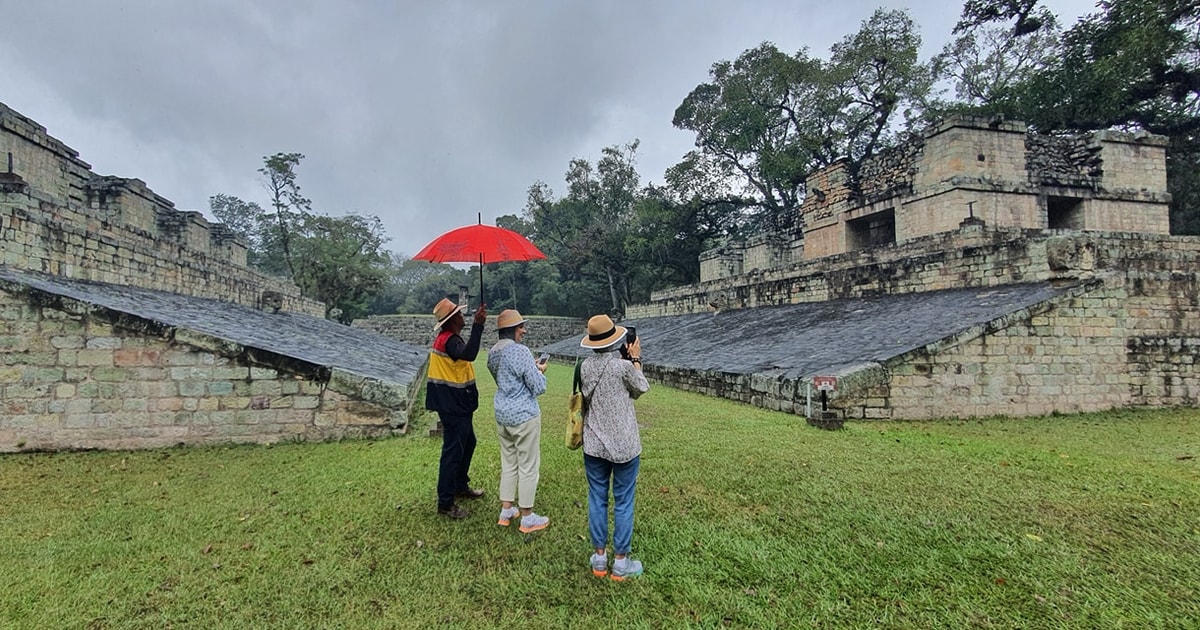 Von San Pedro Sula aus: Tagestour zu den Maya-Ruinen von Copan ...