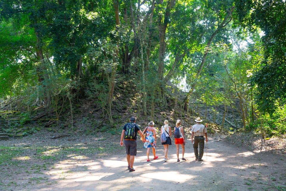 Desde San Pedro Sula: Excursión de un día a las Ruinas Mayas de Copán ...
