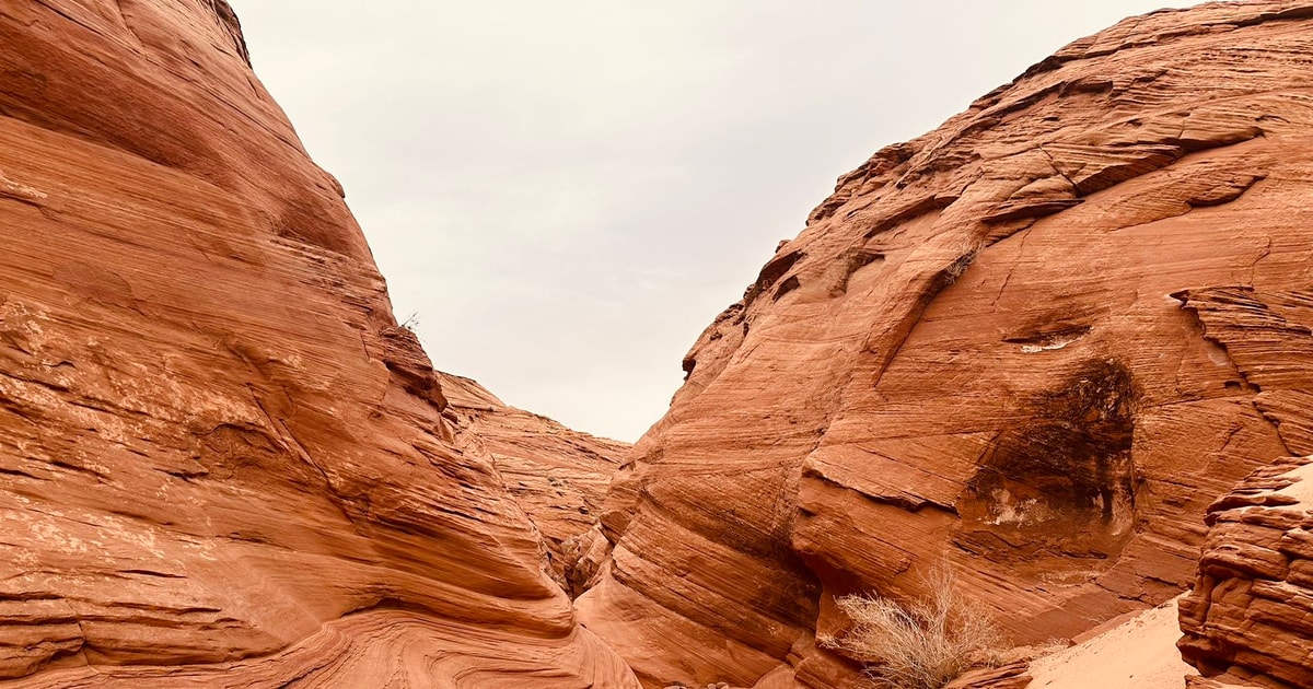 Page: Geführte Wanderung durch den Mountain Sheep Slot Canyon ...