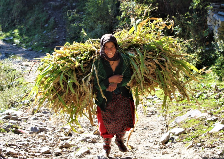 5 Days Malana: Adventure into nature's bounty and intrigue | GetYourGuide